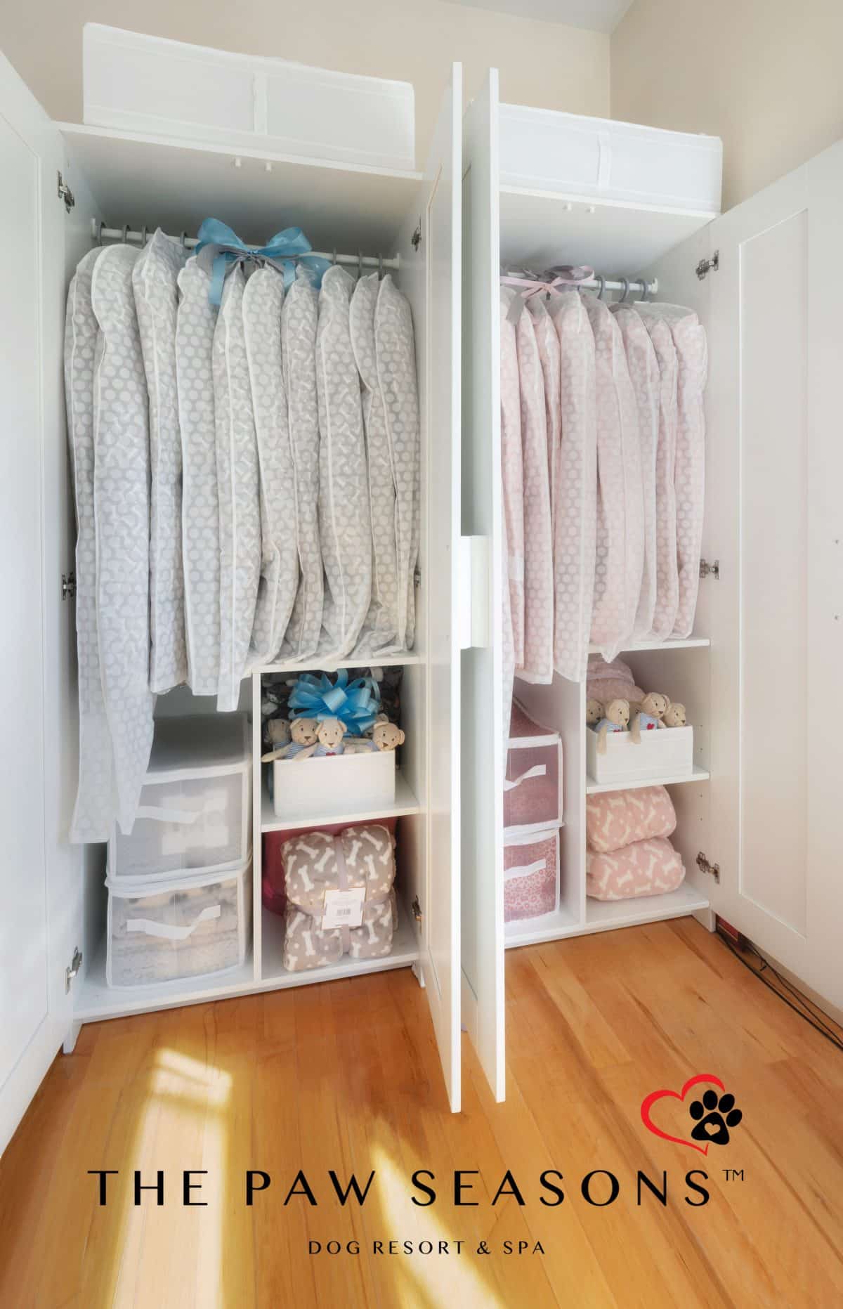 Gallery – The Paw Seasons Dog Resort & Spa