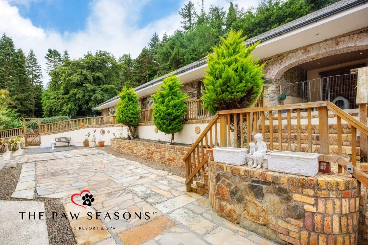 Gallery – The Paw Seasons Dog Resort & Spa