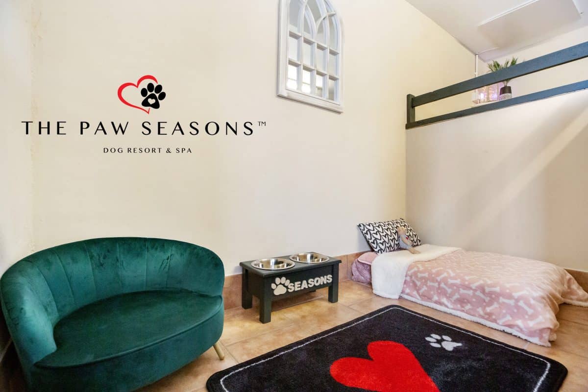 Gallery – The Paw Seasons Dog Resort & Spa