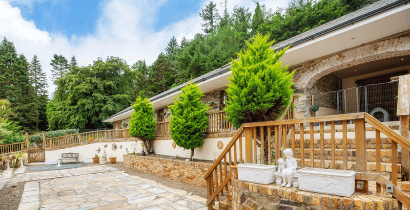 The Hotel – The Paw Seasons Dog Resort & Spa