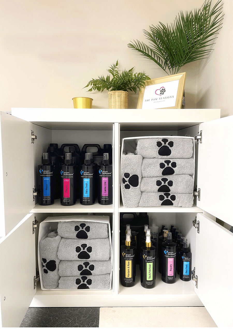 Salon – The Paw Seasons Dog Resort & Spa